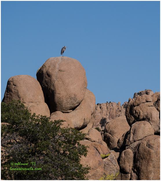 Lowes TravelsA wonderland of rocks – Prescott, AZ