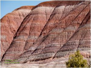 Banded Hills, Toadstools and Canyons – Kane County, UT – Lowes Travels