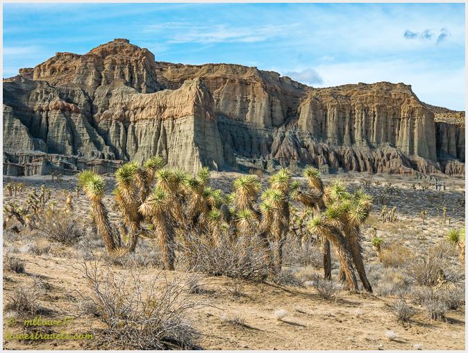 California’s remarkable rocks part 2 – Red Rock Canyon State Park ...